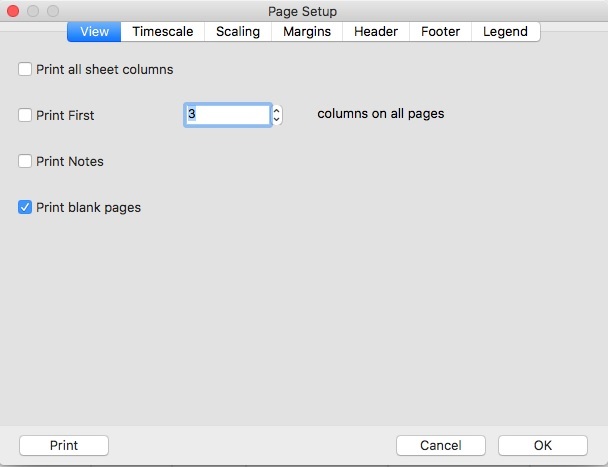 Page Setup – Project Plan 365