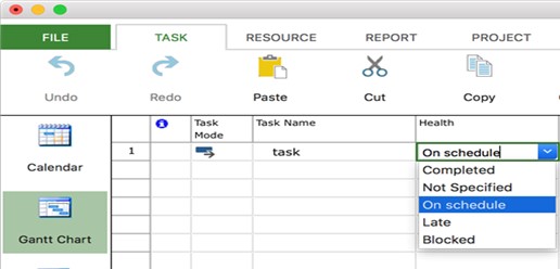 Open from Project Server – Project Plan 365