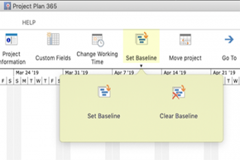 Taking Snapshots, the Project Management Way - Project Plan 365
