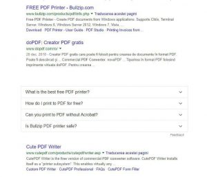Export to PDF - Project Plan 365