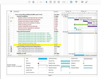 Export to PDF - Project Plan 365