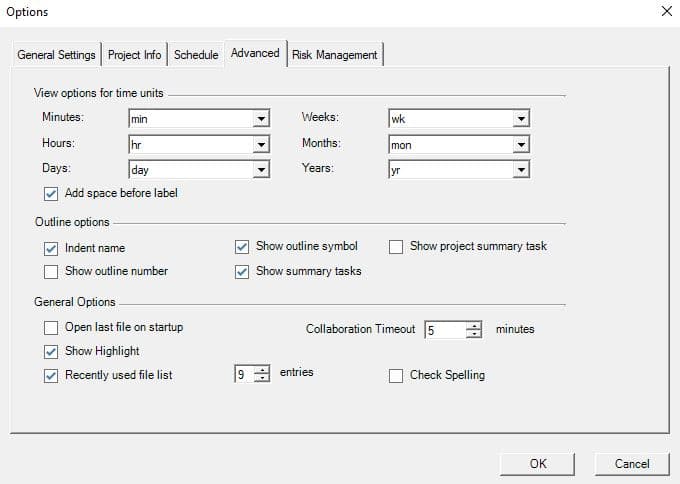 Options dialog – Project Plan 365