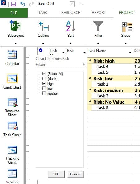 Risk Management – Project Plan 365