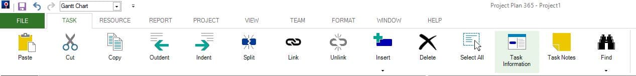 Set Milestones – Project Plan 365