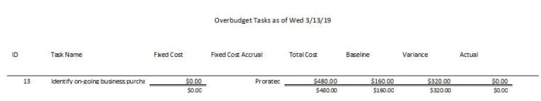 Overbudget Tasks Report - Project Plan 365