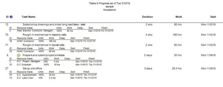 Tasks in Progress Report - Project Plan 365