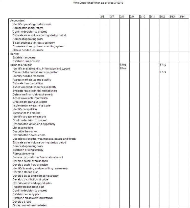 Who Does What When Report - Project Plan 365