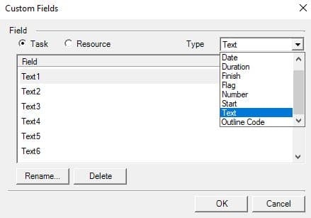 Custom Fields Project Plan 365