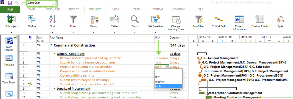 Microsoft Project – Project Plan 365