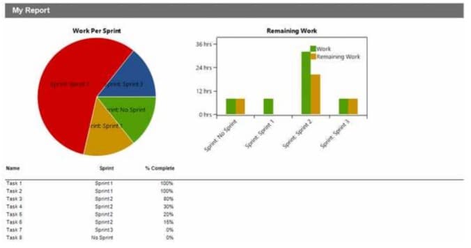 Custom Reports – Project Plan 365