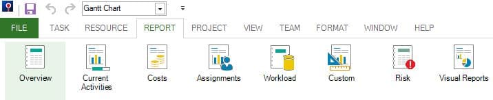 Custom Reports – Project Plan 365