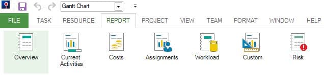 Critical Tasks Report – Project Plan 365