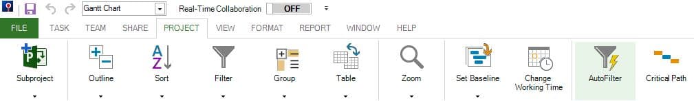 Autofilter – Project Plan 365