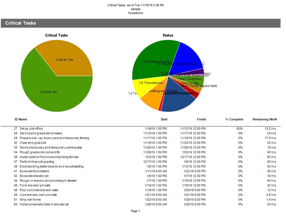 Critical Tasks Report Project Plan 365