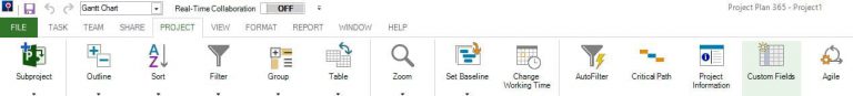 Custom Fields – Project Plan 365