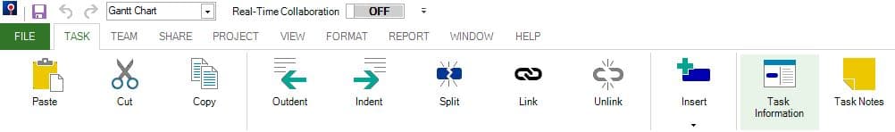 Set Milestones – Project Plan 365