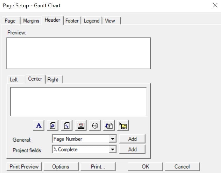Page Setup – Project Plan 365