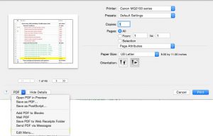 Print Preview - Project Plan 365