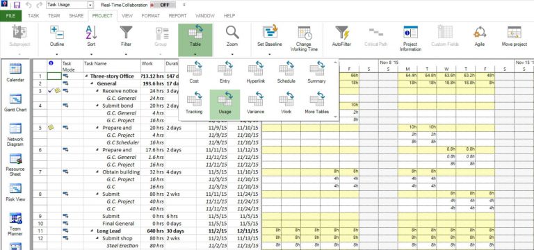 Task Usage - Project Plan 365