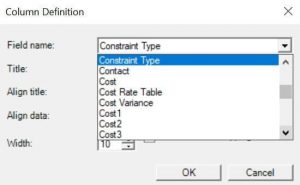 Lesson 2: Constraints - Project Plan 365