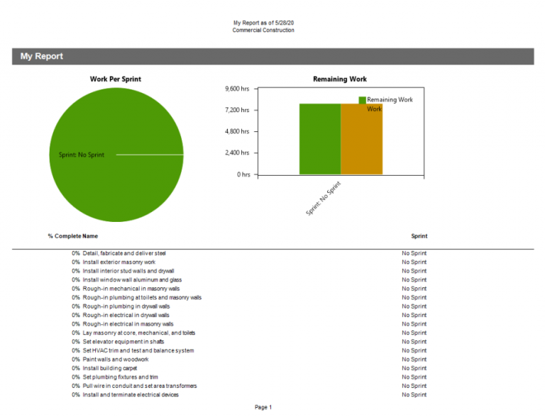 Custom Reports - Project Plan 365