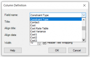 Apply Constraints - Project Plan 365