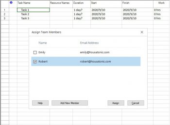 Manage Team Members - Project Plan 365