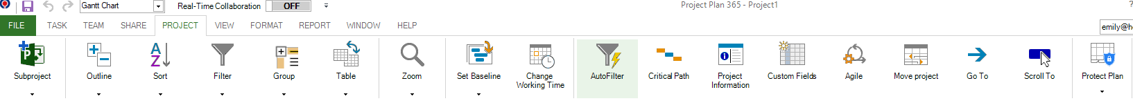 Autofilter – Project Plan 365