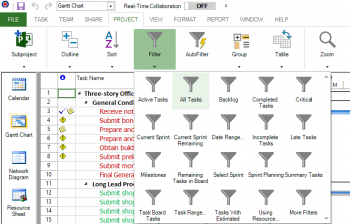 Filters in Project Plan 365 – Project Plan 365