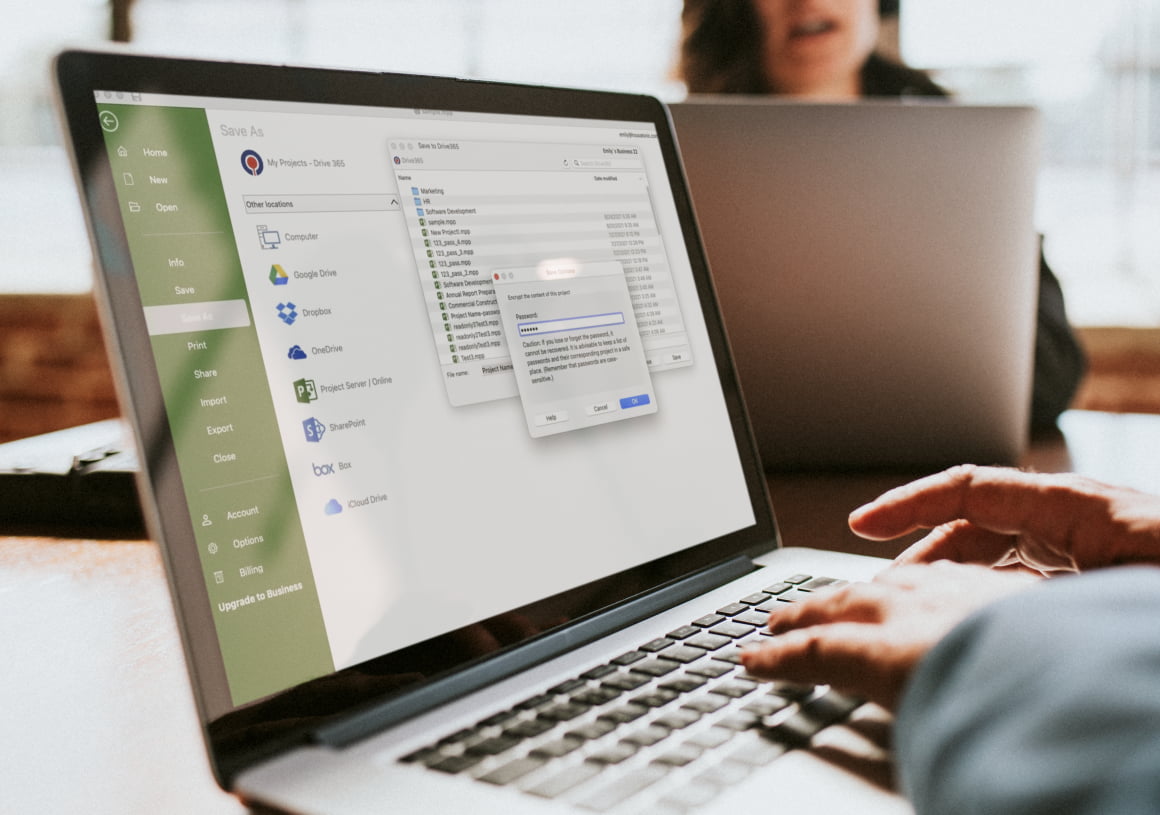 Save Password Protected MPP Files Project Plan 365