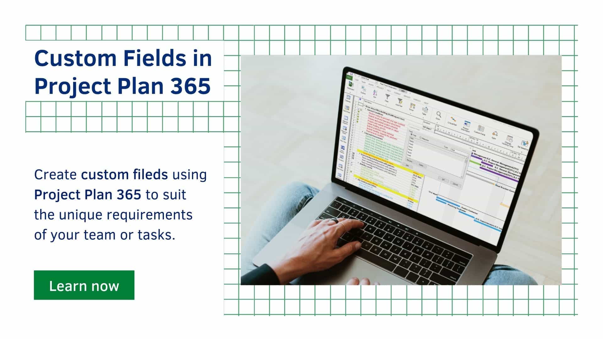 Custom Fields - Project Plan 365