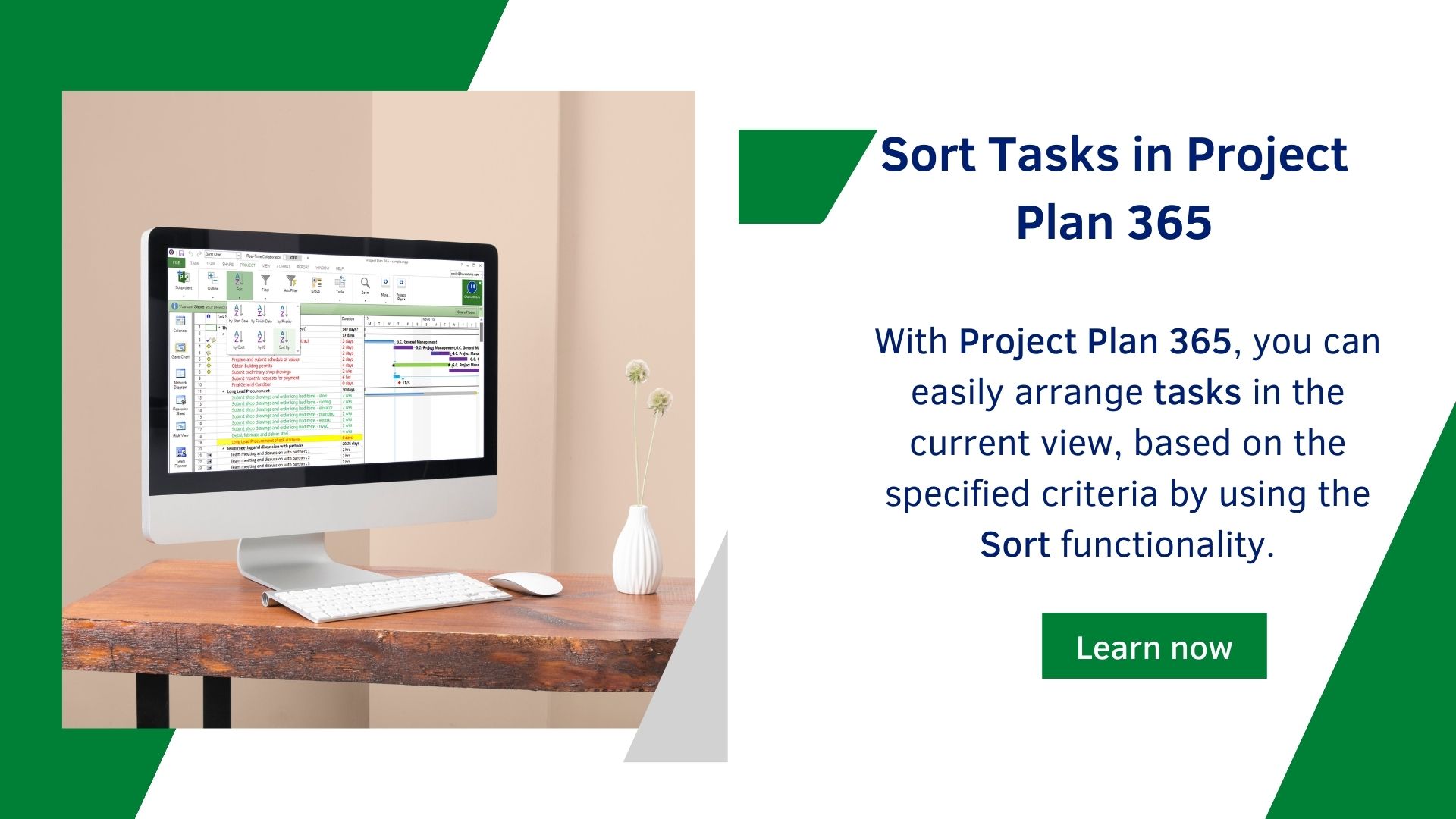 Sort - Project Plan 365