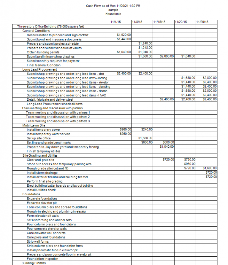 Cash Flow Report - Project Plan 365