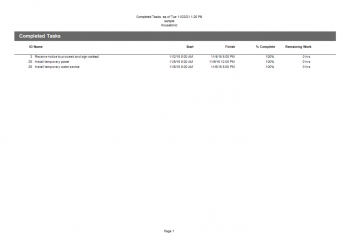 Completed Tasks Report - Project Plan 365