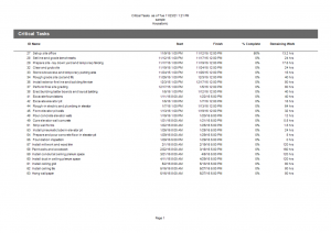 Critical Tasks Report - Project Plan 365