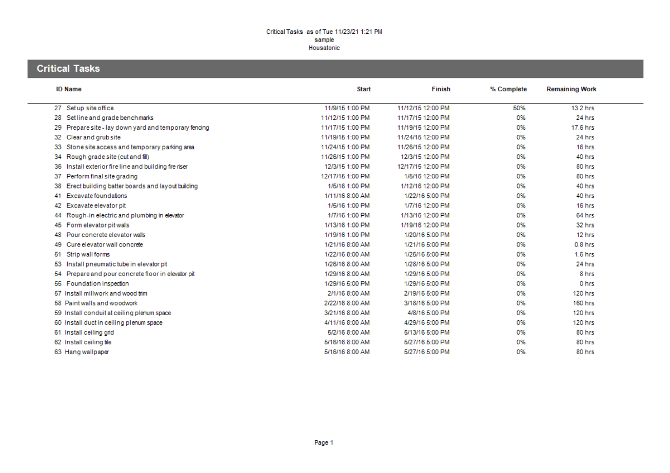 Critical Tasks Report - Project Plan 365