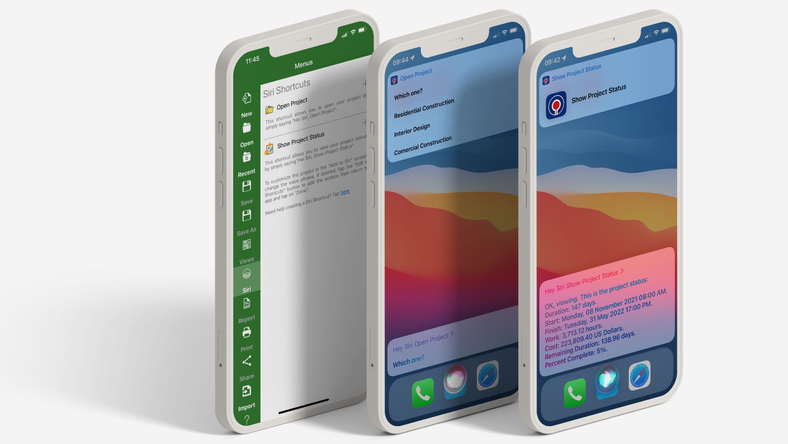 Siri Shortcut - Project Plan 365