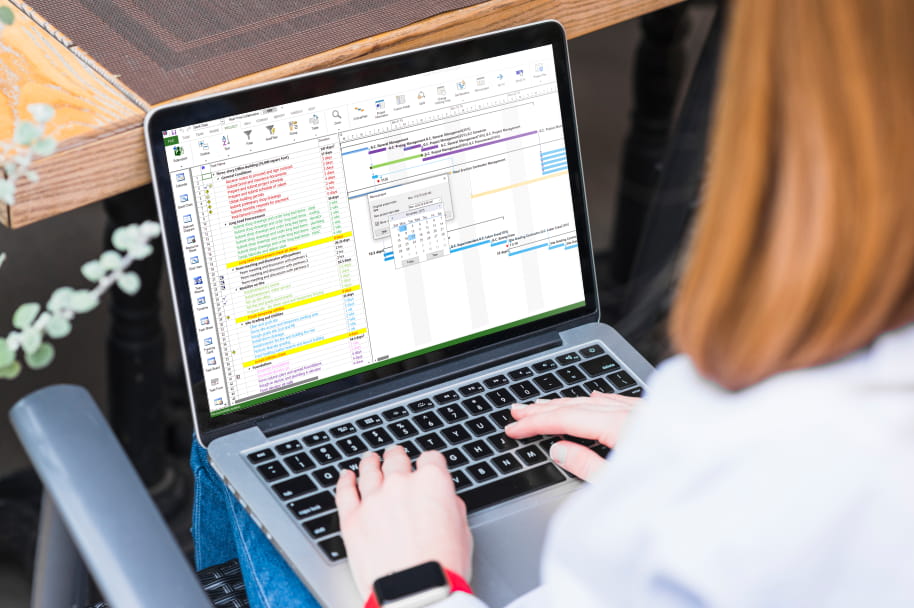 Move Project - Project Plan 365