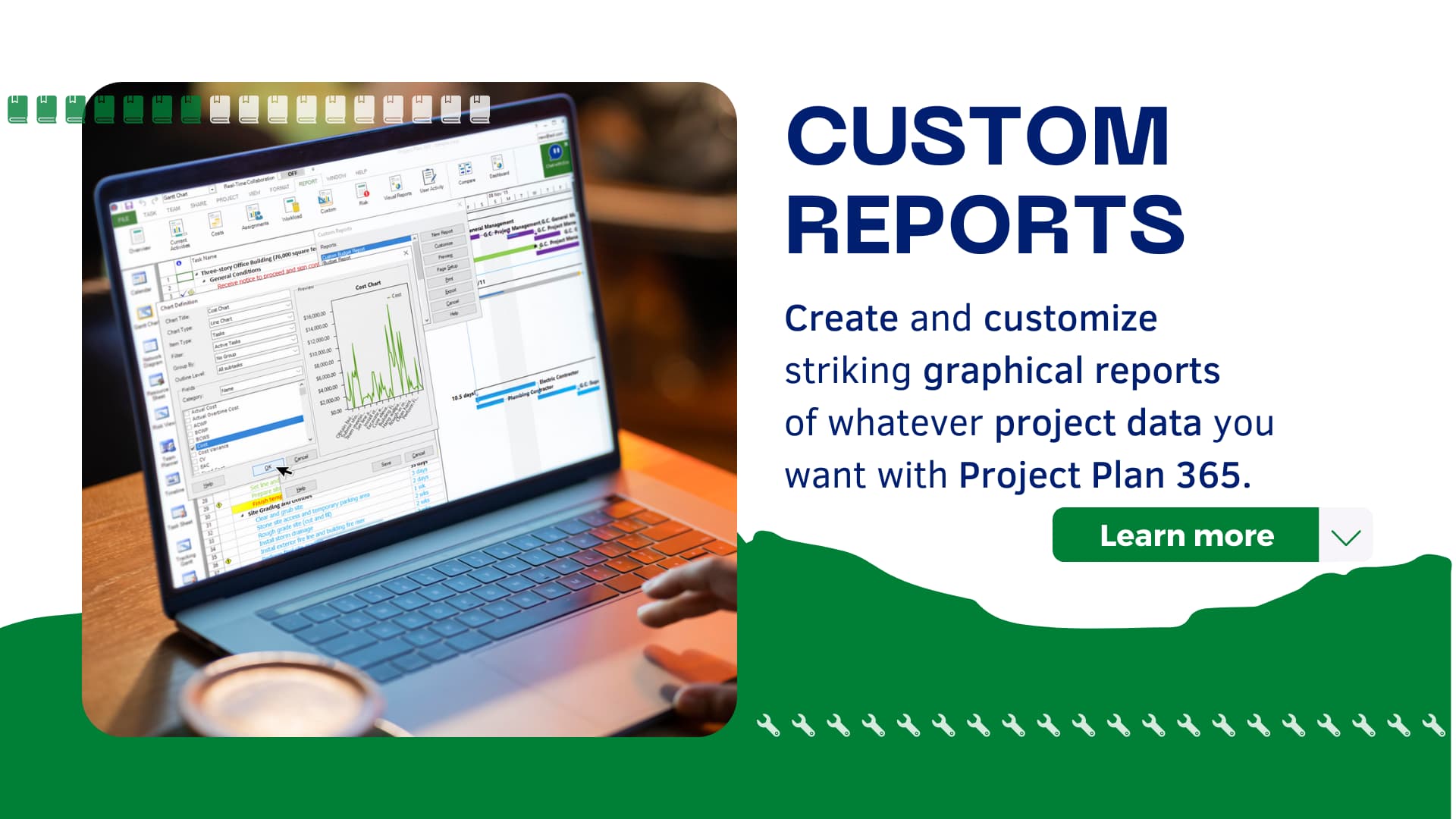 Custom Reports - Project Plan 365