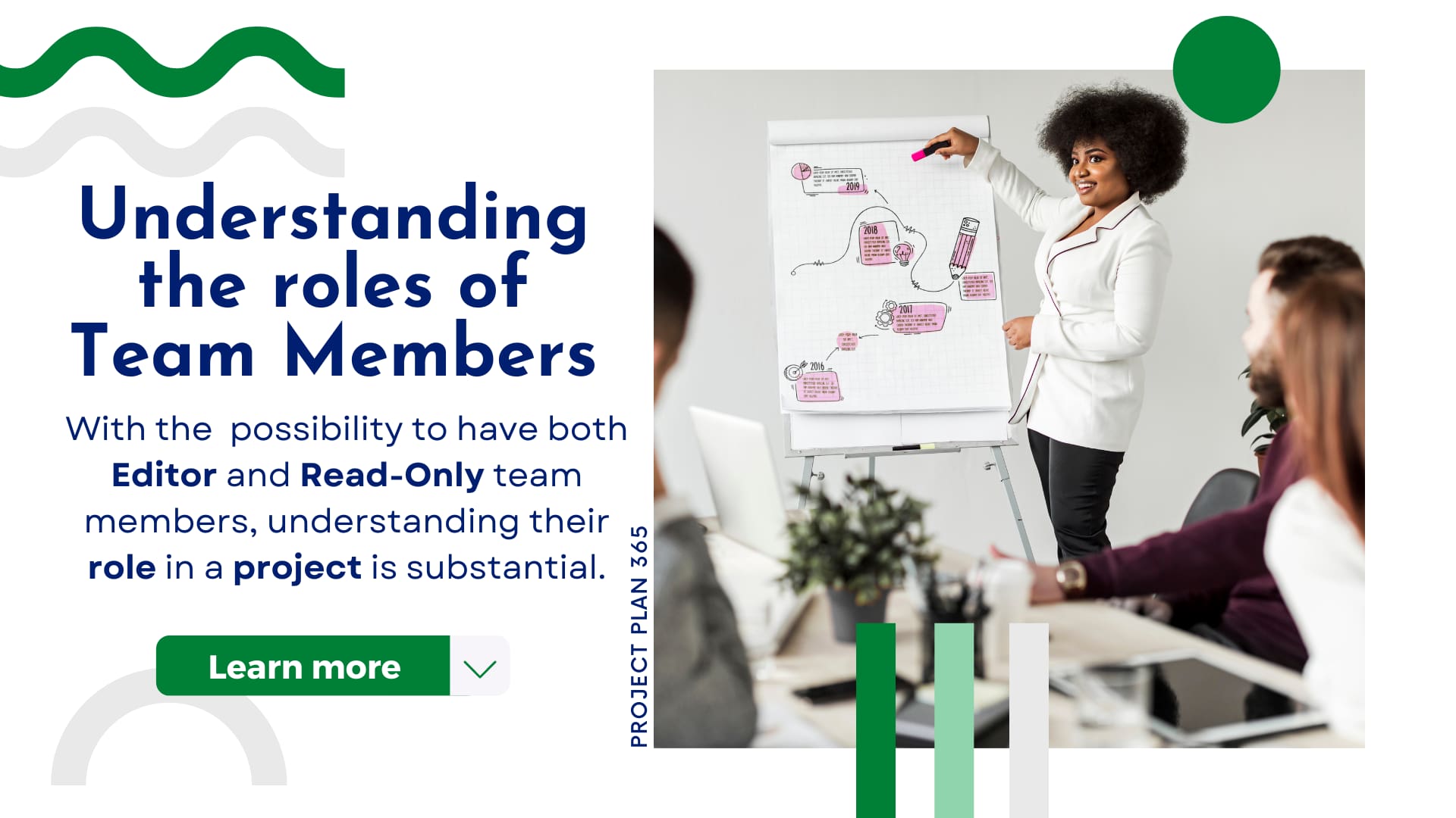 Standard/Business Roles - Project Plan 365