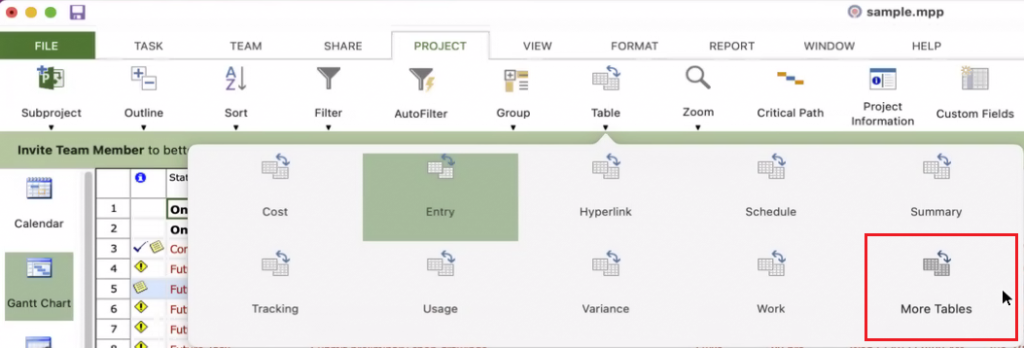 Project Task Status Method – Project Plan 365