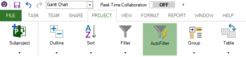 Autofilter - Project Plan 365