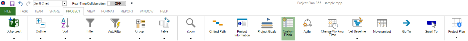 Custom Fields - Project Plan 365