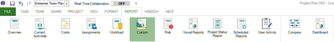 Custom Reports – Project Plan 365