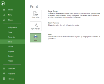 Export to PDF - Project Plan 365