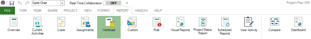 Task Usage Report – Project Plan 365