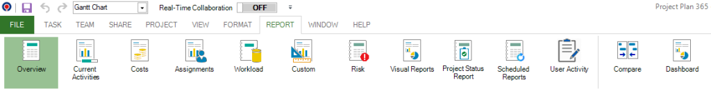 Top-Level Tasks Report – Project Plan 365
