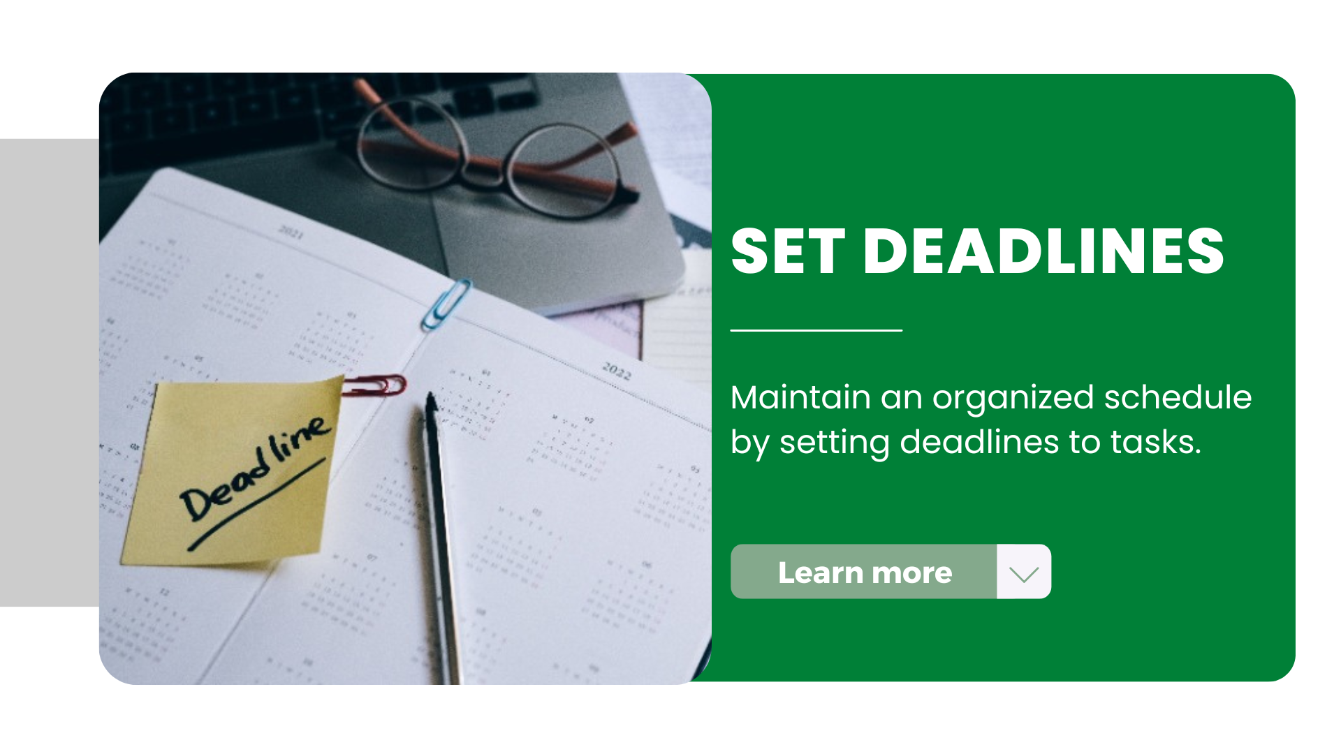 Deadlines - Project Plan 365