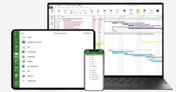 For Web/Online – Project Plan 365