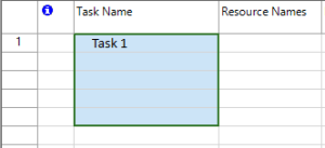 Fill in Grid - Project Plan 365